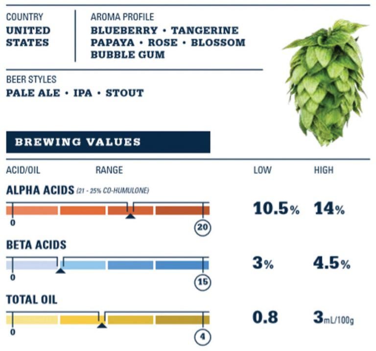 American Hops from the Pacific Northwest - Brewer World-Everything ...