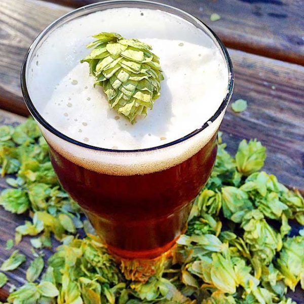 Dry-hopped Vs Wet-hop Beers: What’s the Difference? - Brewer World ...