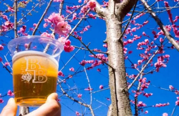 Say Kanpai: A Peek Inside Japanese Beer Culture - Brewer World ...