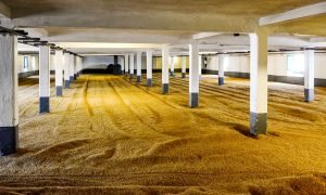 The Fundamentals Of Malting Process - Brewer World-Everything about ...