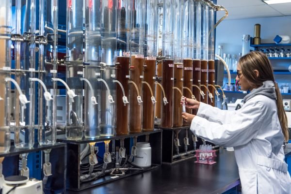 What Does It Take To Produce Great Quality Dried Brewing Yeast ...