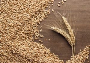 Understanding The Difference Between Malted, Unmalted & Torrified Wheat ...